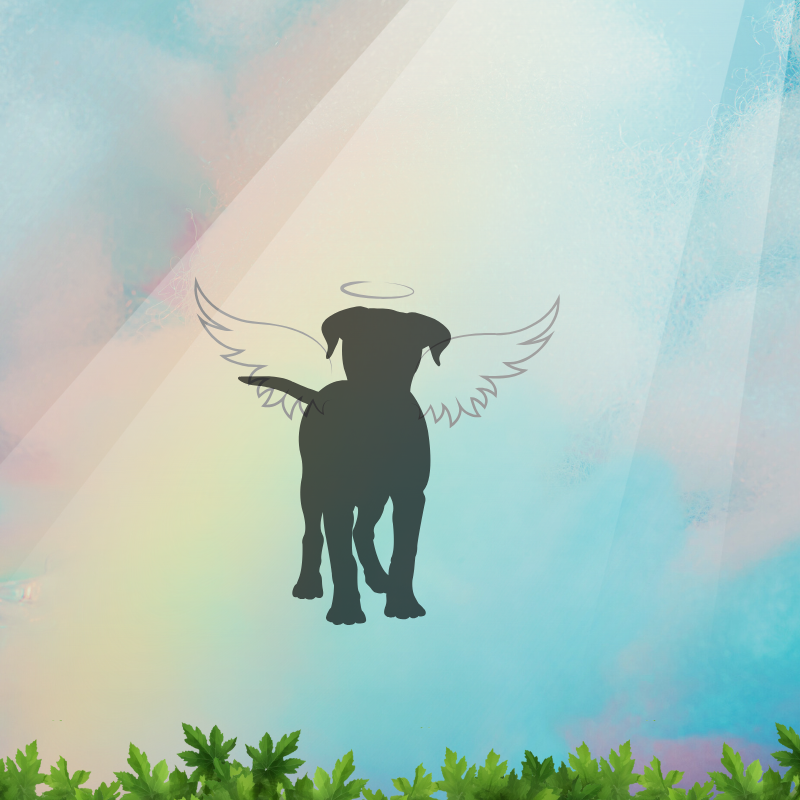 Doodle Care! by Jamel Hamka