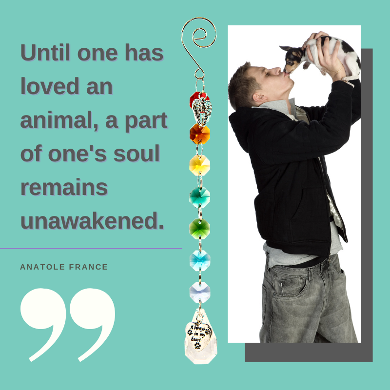 Choosing the Perfect Pet Memorial: A Guide to Meaningful Remembrance