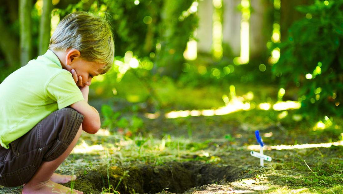 Doodle Care! by Jamel Hamka – Pet Perennials