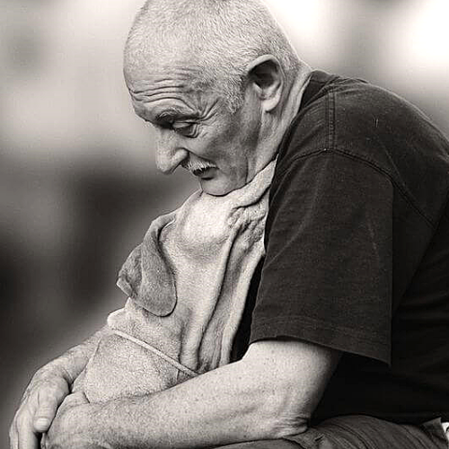 Saying Goodbye - One of the Toughest Decisions In A Pet Lover's Life