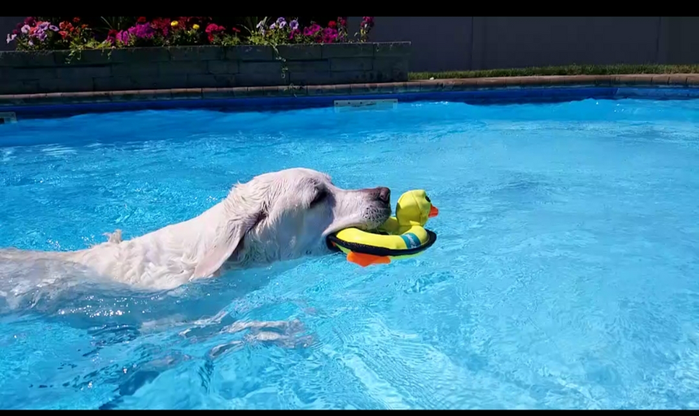 Dexter Ward – Lab Extraordinaire