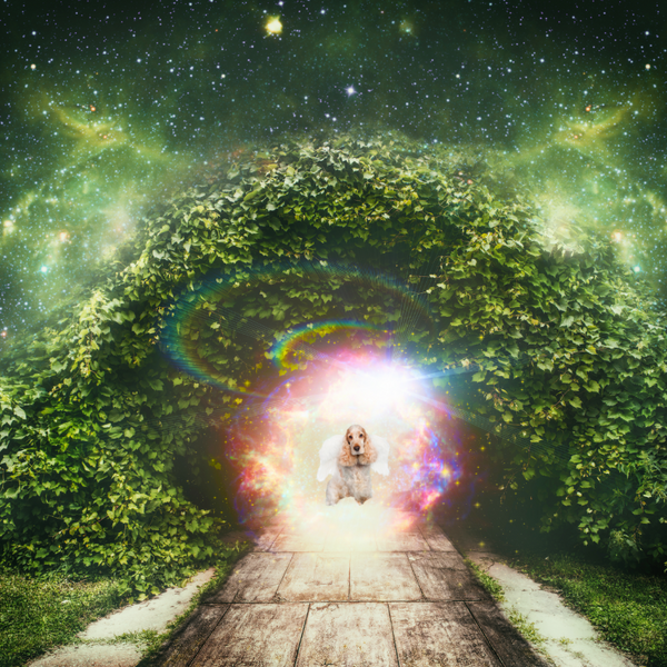 Are Some Losses Actually Life Lessons? By Ann Hoff