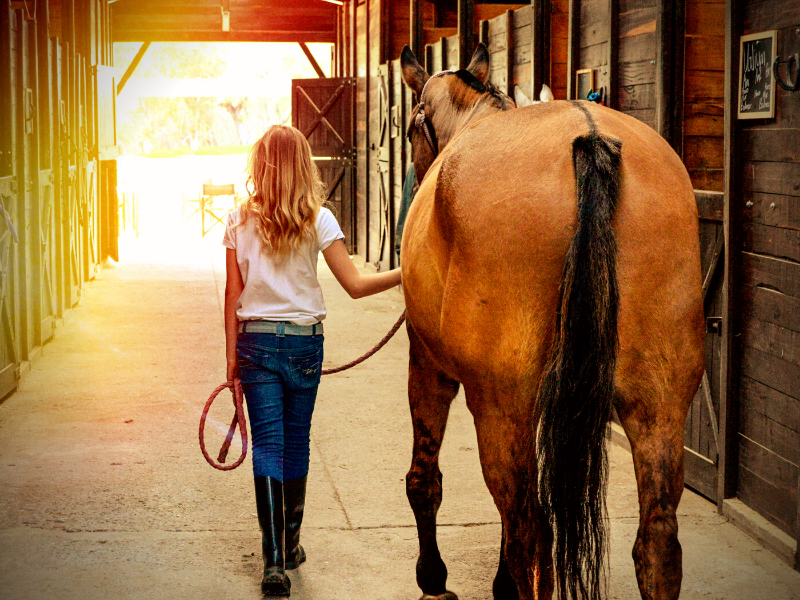 "I Can’t Help You, Ann." – Dealing with Loss by Ann Hoff