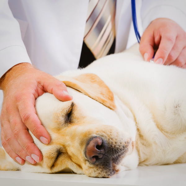 Some Decisions Are Beyond Difficult by Ann Hoff