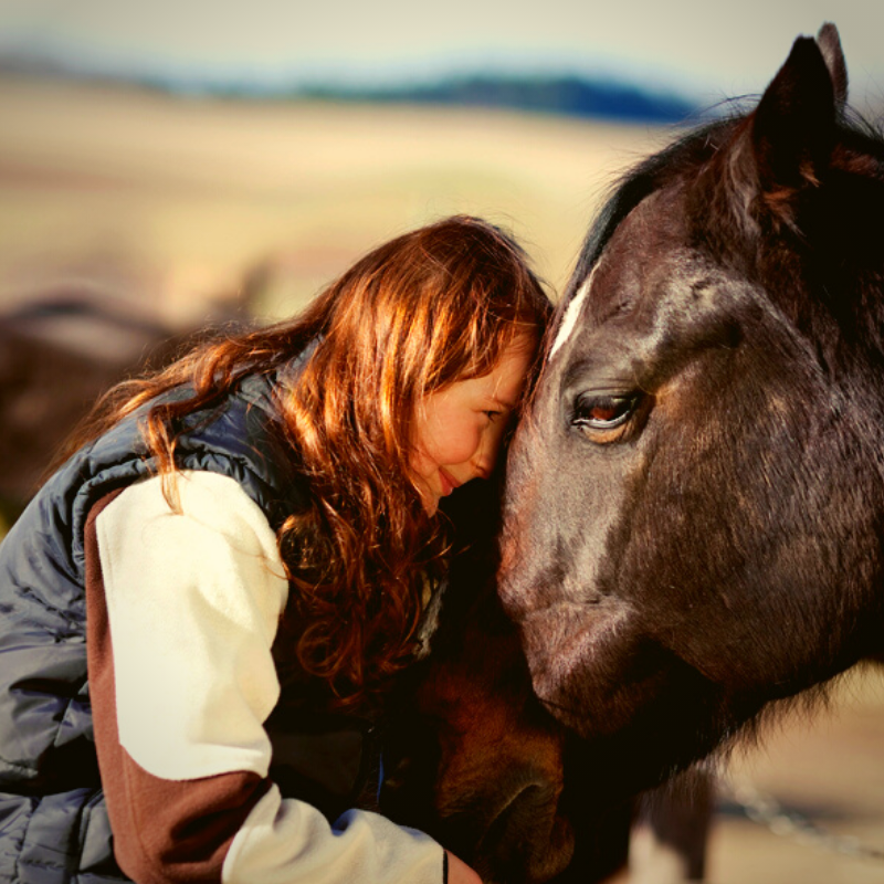 The Importance of Grieving Pet Loss by Ann Hoff