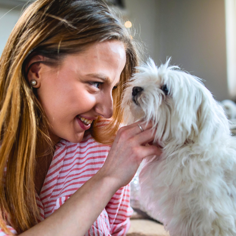 Letting Go with Love: Navigating the Emotional Toll of Pet Fostering w