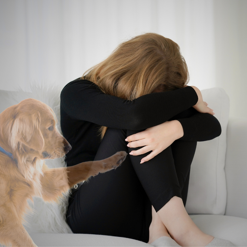 The Perspective on Grief from the Other Side by Ann Hoff