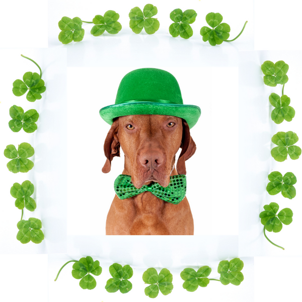 A Dad and His Dog: March Merrymaking