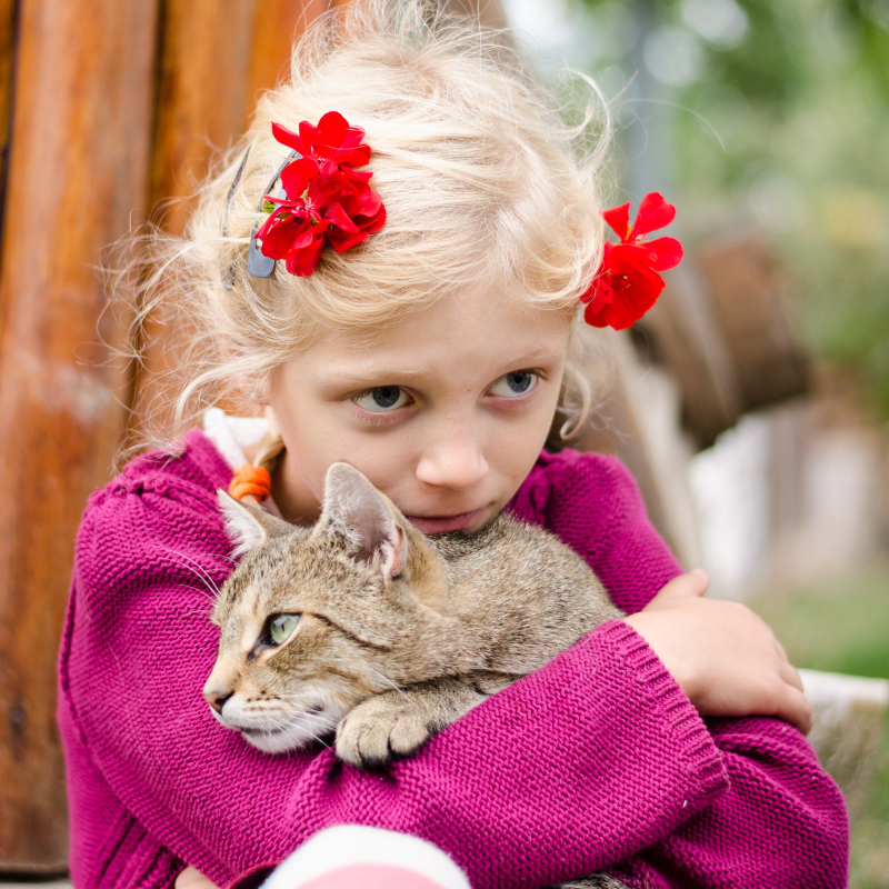 Finding Laughter Through Tears by Ann Hoff