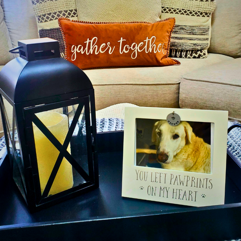 Creating A Sacred Space to Remember a Pet