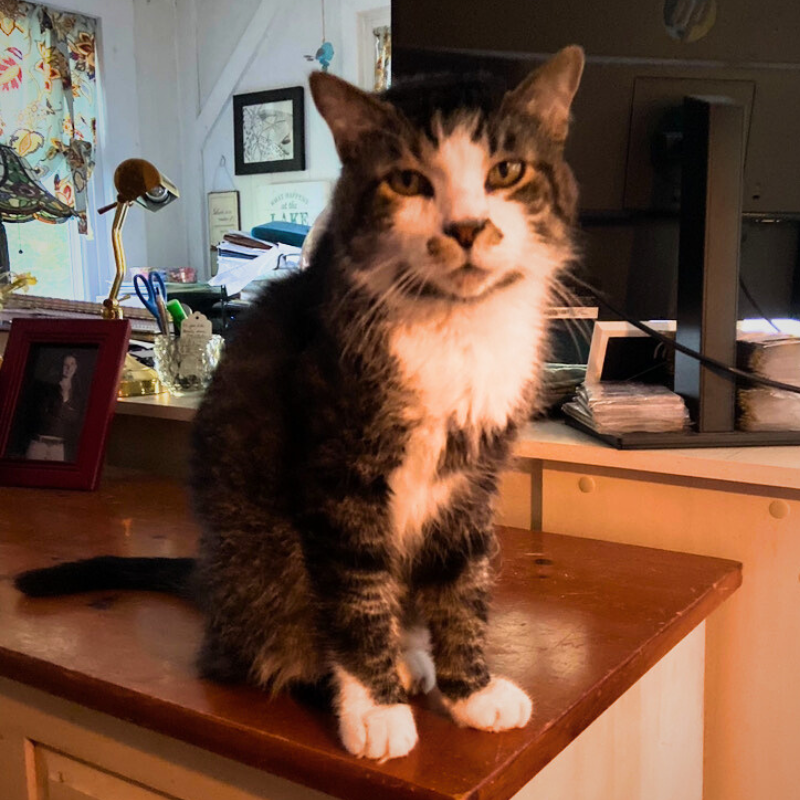 Doodle Care! by Jamel Hamka