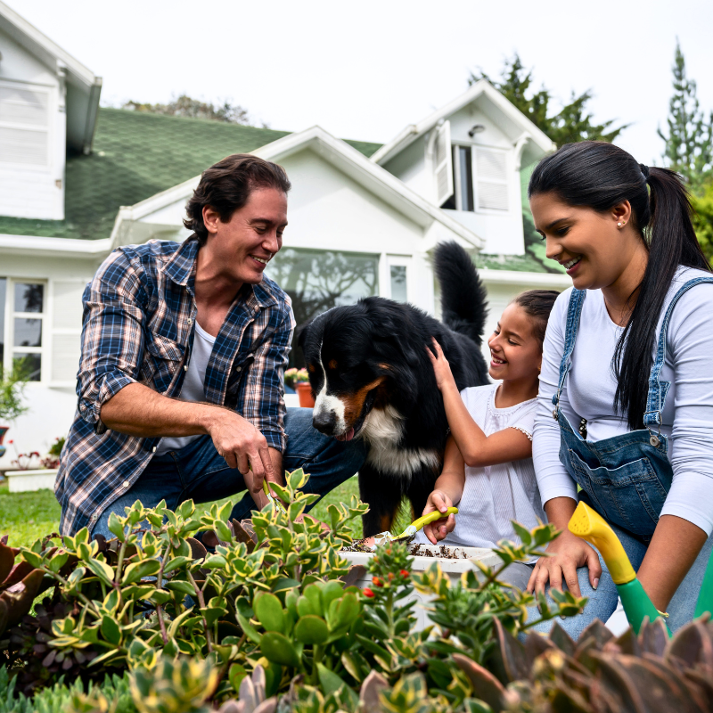 A Dad and His Dog: April Opens the Door to a Dog-Filled Spring