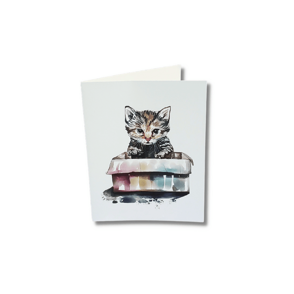 Welcome a New Cat Card, Pet Greetings Cards, Pet Gifts